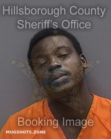 HAMMOND BRYCE 03/16/2025 - Hillsborough County Mugshots Zone