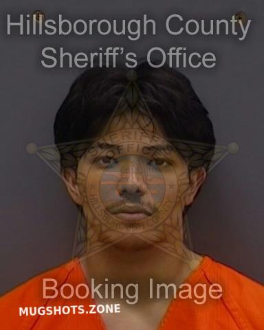 MARTINEZ-MENDOZA ANGEL 03/22/2025 - Hillsborough County Mugshots Zone