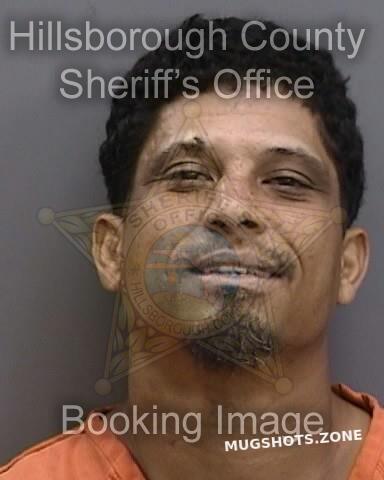 JUDGE COREY 03/23/2025 - Hillsborough County Mugshots Zone