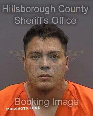 DE LOS RIOS RAFAEL 03/24/2025 - Hillsborough County Mugshots Zone