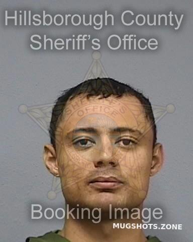 OLIVEIRA MACHADO RAFAEL 03/25/2025 - Hillsborough County Mugshots Zone