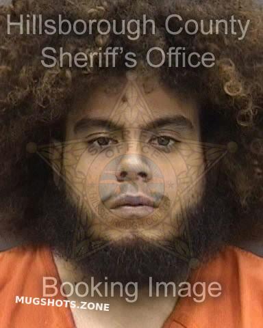 JOHNSON MAXWELL 03/26/2025 - Hillsborough County Mugshots Zone