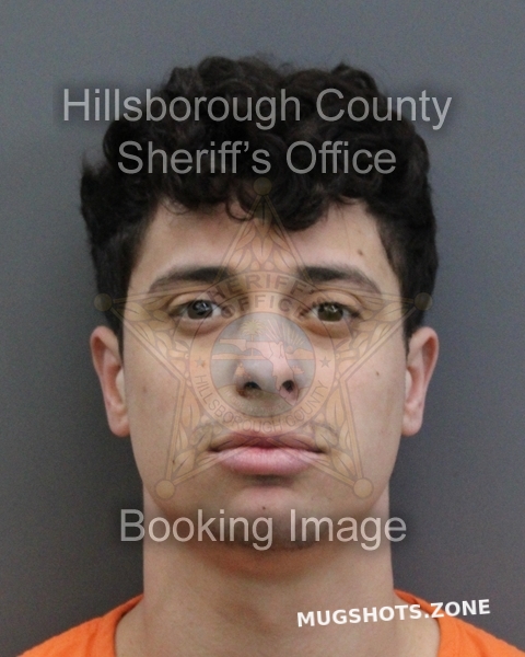 ALEMAN FERNANDEZ CHRISTIAN 03/28/2025 - Hillsborough County Mugshots Zone