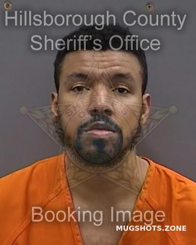 DAVID MARKELL 03/29/2025 - Hillsborough County Mugshots Zone