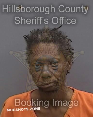 REID MORRIS 04/03/2025 - Hillsborough County Mugshots Zone