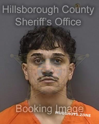 TURANO MARIO 04/06/2025 - Hillsborough County Mugshots Zone