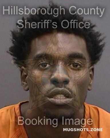 PEAKE ALEXANDER 04/06/2025 - Hillsborough County Mugshots Zone