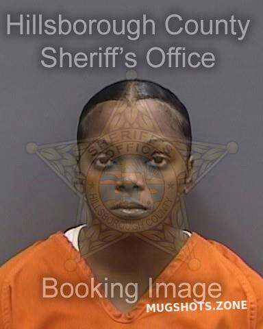 LUMPKIN AERIALE 04/08/2025 - Hillsborough County Mugshots Zone