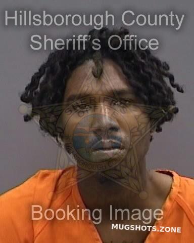 WILLIAMS GREGORY JR 04/13/2025 - Hillsborough County Mugshots Zone