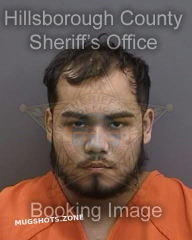 BUENO ADRIAN 04/16/2025 - Hillsborough County Mugshots Zone