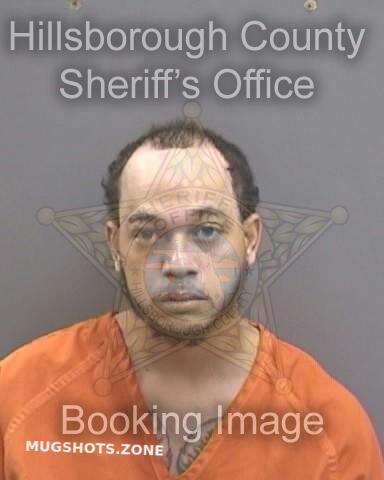 JONES DUSTIN 04/17/2025 - Hillsborough County Mugshots Zone