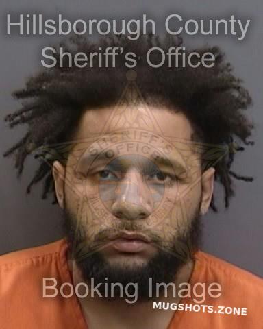 WELLS ERIC JR 04/19/2025 - Hillsborough County Mugshots Zone