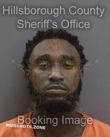 NELSON TYLER 04/20/2025 - Hillsborough County Mugshots Zone