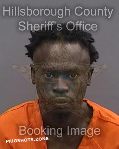 OSMAN MUTWAKEL 04/22/2025 - Hillsborough County Mugshots Zone