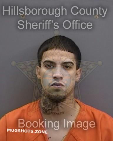 CAEZ NEGRON ELIGABRIEL 04/23/2025 - Hillsborough County Mugshots Zone