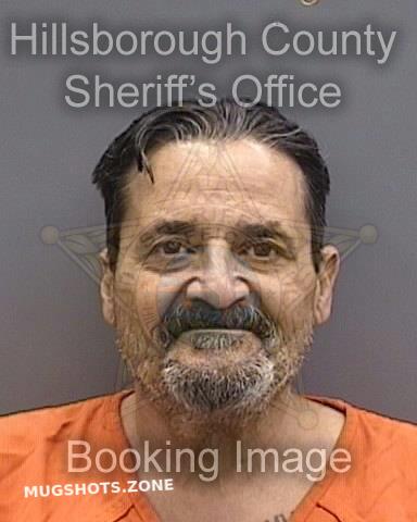 PIROZZI MICHAEL 04/23/2025 - Hillsborough County Mugshots Zone