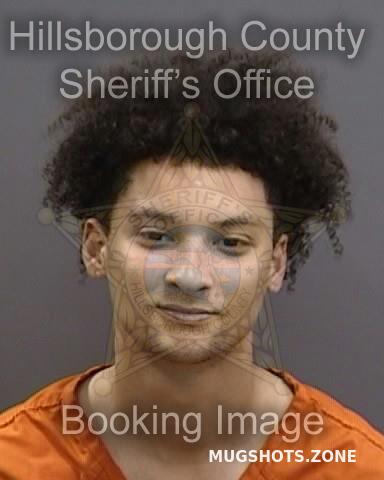 DAVIS CALVIN JR 04/27/2025 - Hillsborough County Mugshots Zone