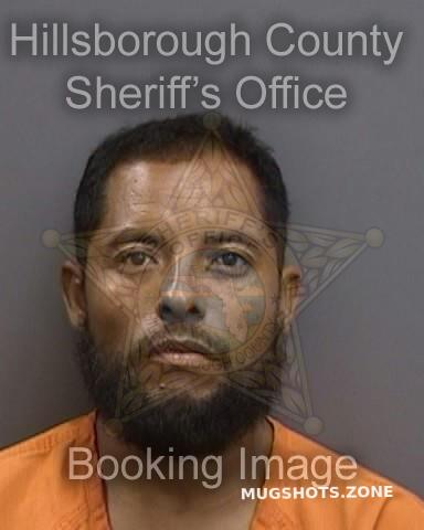 VENEGAS BASILIO 04/29/2025 - Hillsborough County Mugshots Zone