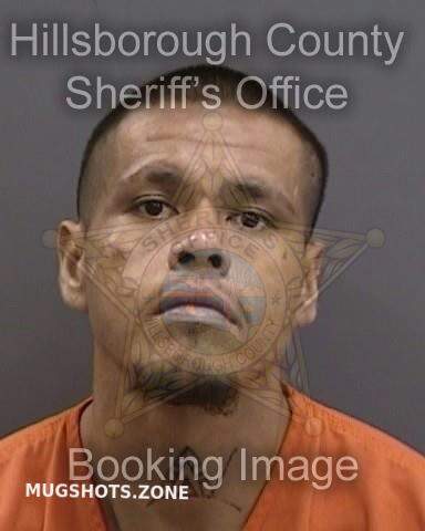 LUNA CASTRO JUAN JR 04/30/2025 - Hillsborough County Mugshots Zone