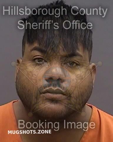 SOLANO RIVERO DANIEL 05/01/2025 - Hillsborough County Mugshots Zone