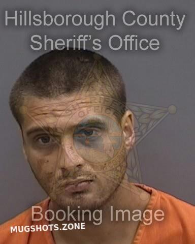 FULLER MICHAEL 05/04/2025 - Hillsborough County Mugshots Zone