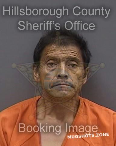 SILVA LOPEZ JUAN 05/04/2025 - Hillsborough County Mugshots Zone