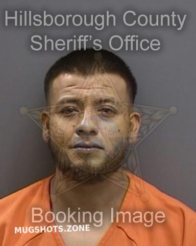 CASTRO WILSON 05/11/2025 - Hillsborough County Mugshots Zone