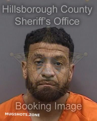 NEGRON WILFRED JR 05/14/2025 - Hillsborough County Mugshots Zone