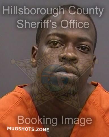 WILLIAMS DWAYNE JR 05/17/2025 - Hillsborough County Mugshots Zone