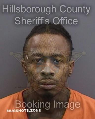 WILLIAM TYRELL 05/26/2025 - Hillsborough County Mugshots Zone