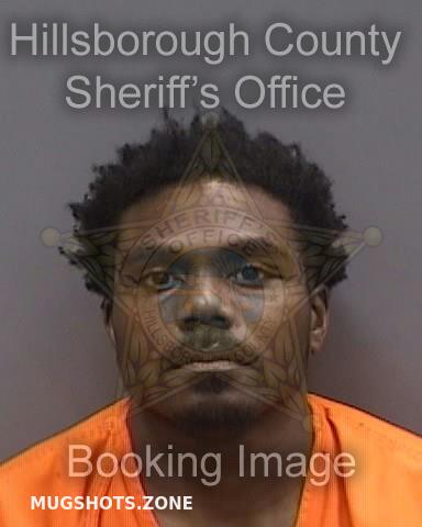 DAVIS GERALD JR 05/29/2025 - Hillsborough County Mugshots Zone