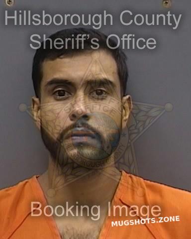 RAMIREZ RICARDO 05/29/2025 - Hillsborough County Mugshots Zone