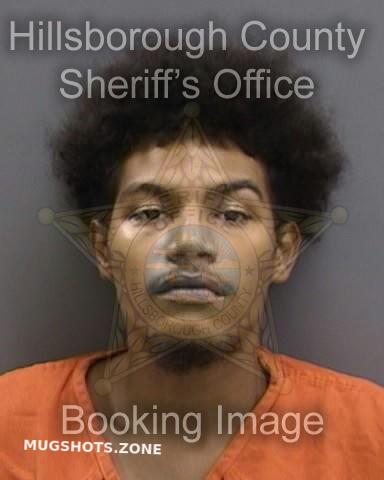CORREA HECTOR 06/04/2025 - Hillsborough County Mugshots Zone