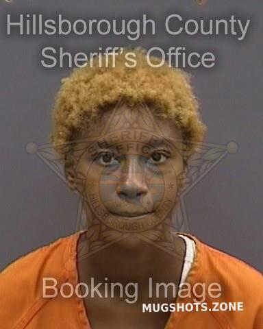 DUNSTON DIAMOND 06/10/2025 - Hillsborough County Mugshots Zone