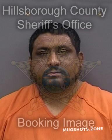 GONZALES RICKY 06/12/2025 - Hillsborough County Mugshots Zone