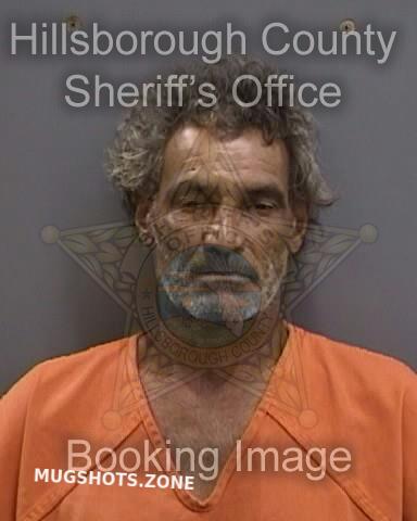NEGRON ORLANDO 06/12/2025 - Hillsborough County Mugshots Zone