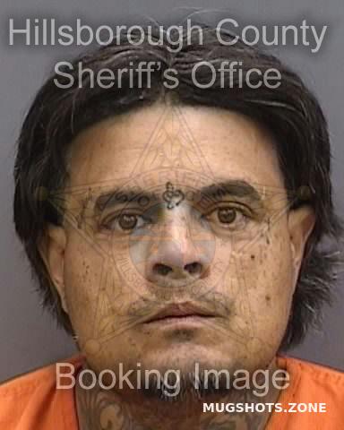 ROLDAN MARTINEZ JAIRO 06/14/2025 - Hillsborough County Mugshots Zone