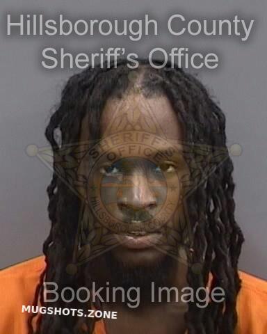 MITCHELL DARRIEL 06/15/2025 - Hillsborough County Mugshots Zone