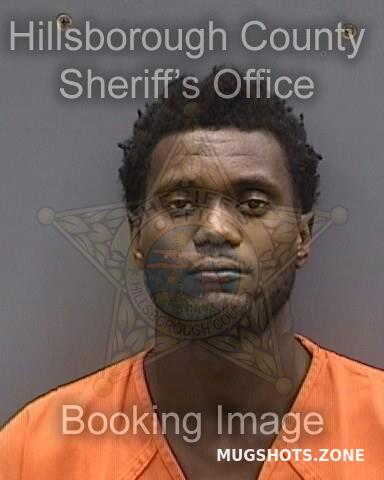 COLLINS DANIEL JR 06/16/2025 - Hillsborough County Mugshots Zone