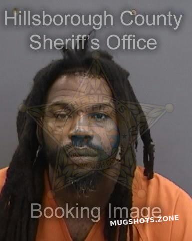 WELLS VINCENT JR 06/21/2025 - Hillsborough County Mugshots Zone