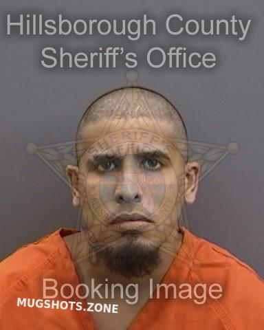 TELLADO KEVIN 06/26/2025 - Hillsborough County Mugshots Zone