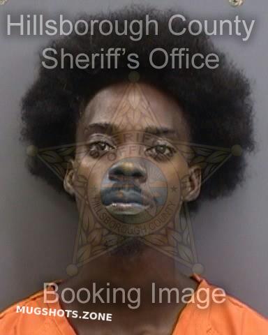 MINGO BRANDON 06/27/2025 - Hillsborough County Mugshots Zone