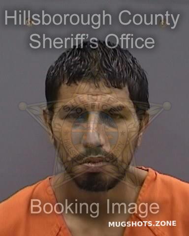 PAGAN ISMAEL JR 06/28/2025 - Hillsborough County Mugshots Zone