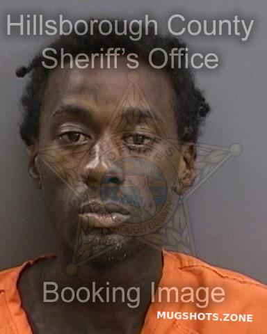 BROWN NATHAN JR 06/30/2025 - Hillsborough County Mugshots Zone