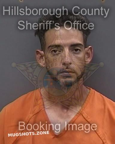 MEDINA DAVID 07/06/2025 - Hillsborough County Mugshots Zone