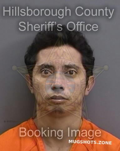 JOVEL TORRES JUNIOR 07/07/2025 - Hillsborough County Mugshots Zone
