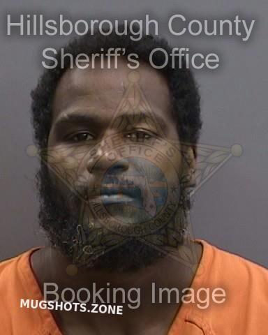 ROBINSON DREW 07/08/2025 - Hillsborough County Mugshots Zone