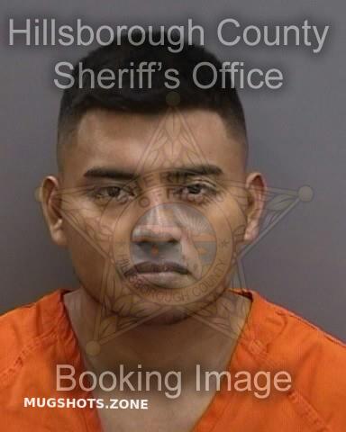 GOMEZORTIZ AXEL 07/13/2025 - Hillsborough County Mugshots Zone