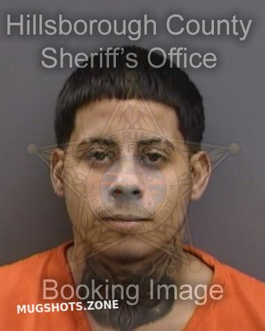 SEPULVEDA SANTOS EDGARDO 07/29/2025 - Hillsborough County Mugshots Zone