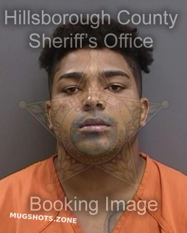 JORDAN CALEB 07/29/2025 - Hillsborough County Mugshots Zone
